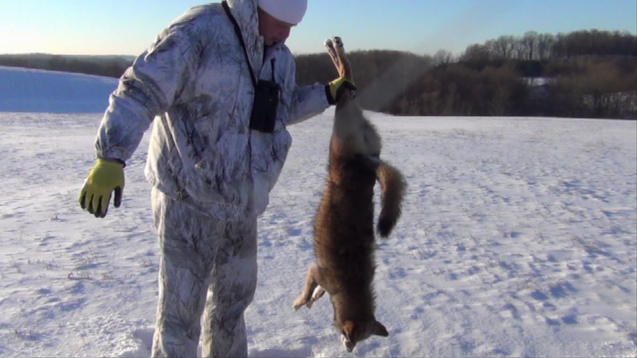 Coyote Killin' # 1, It's Trigger Time Outdoors - YouTube