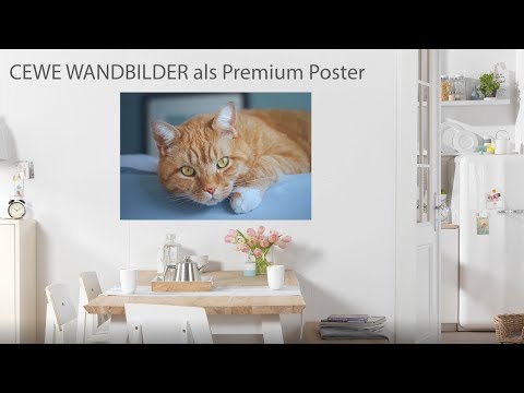 CEWE WANDBILDER als Premium Poster