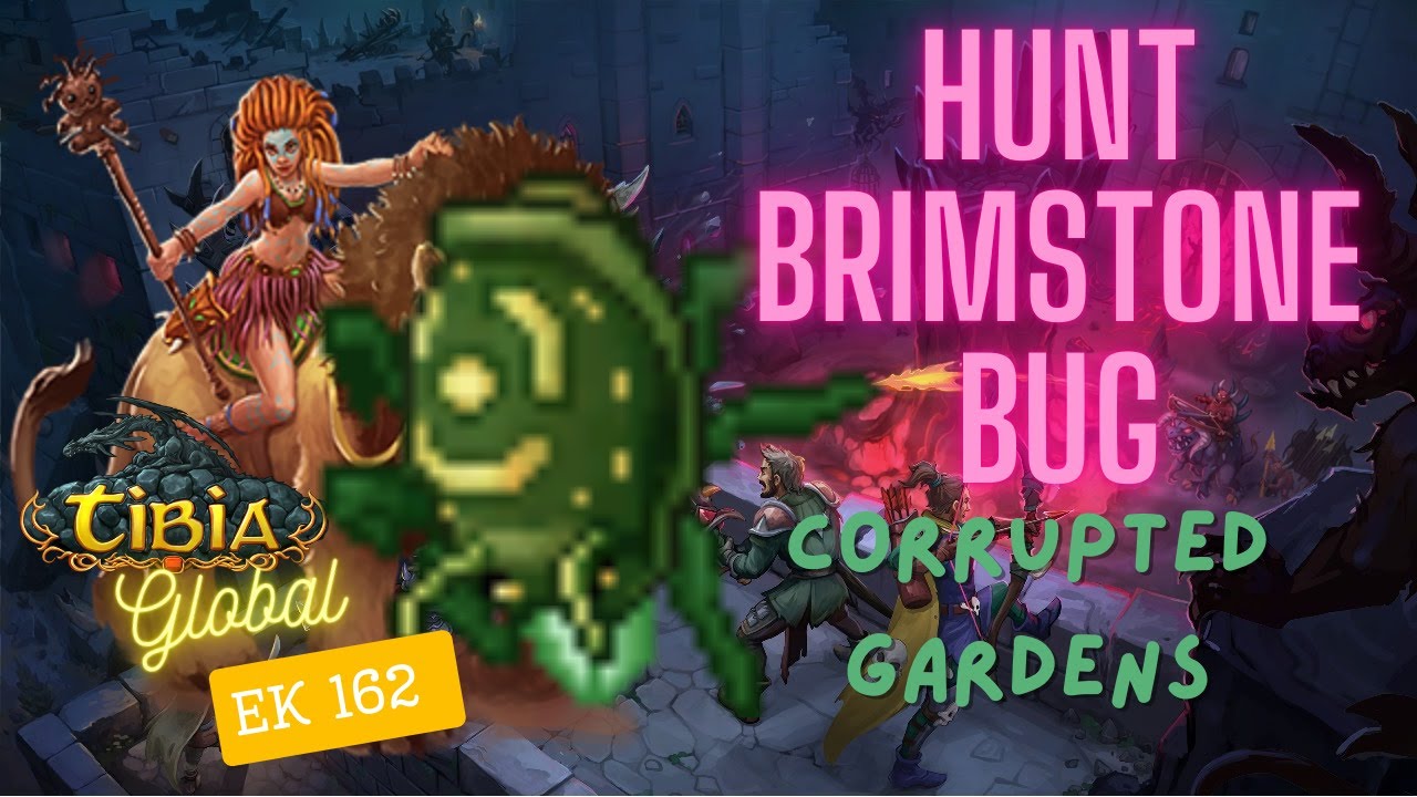 HUNT Corrupted Gardens Brimstone Bug 🔴LIVE! TIBIA EK 162 COLLABRA GLOBAL - YouTube