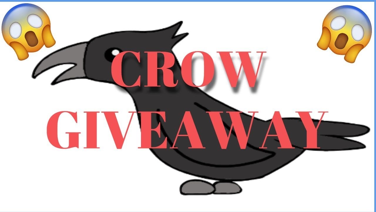 Roblox adopt me Crow Giveaway!(adopt me) - YouTube