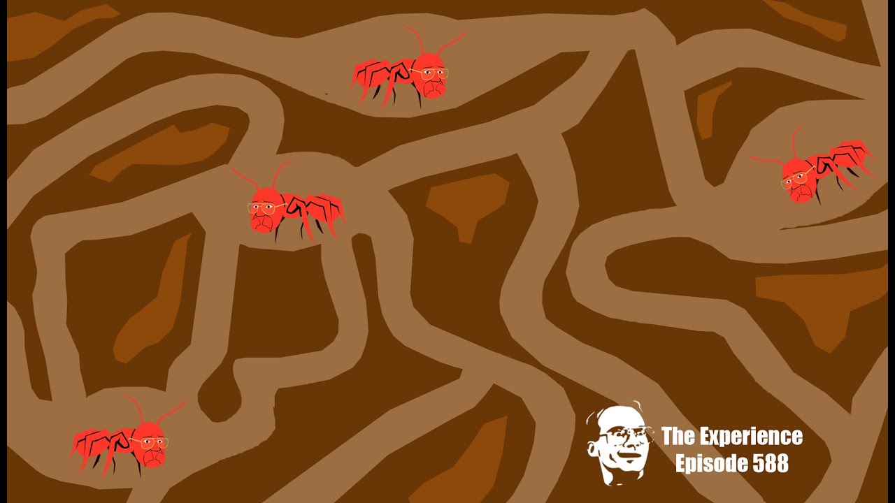 Jim Cornette Experience - Episode 588: The Hostile Land Of Dixie - YouTube