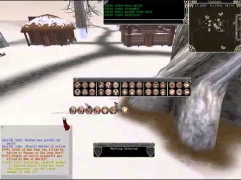 Shadowbane Tutorial - Interface. - YouTube