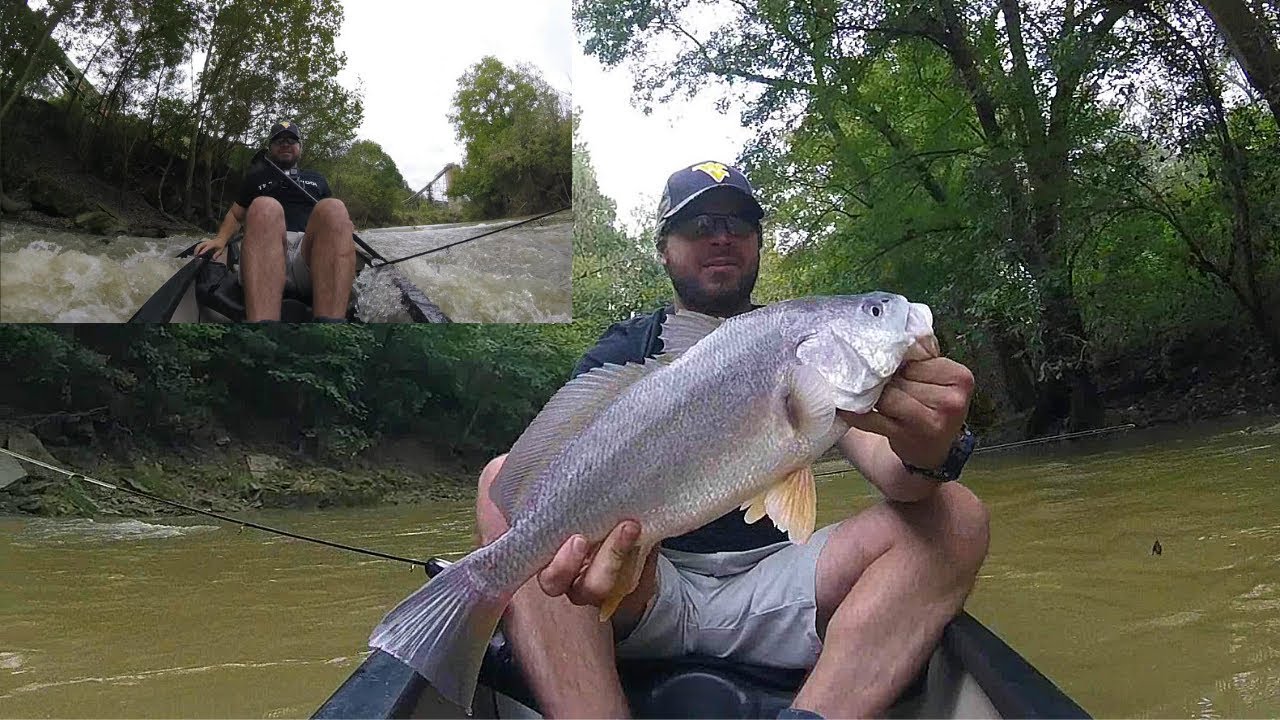 DANGEROUS CANOE FLOAT GIANT Freshwater Drum Fishing RAGING CREEK ...