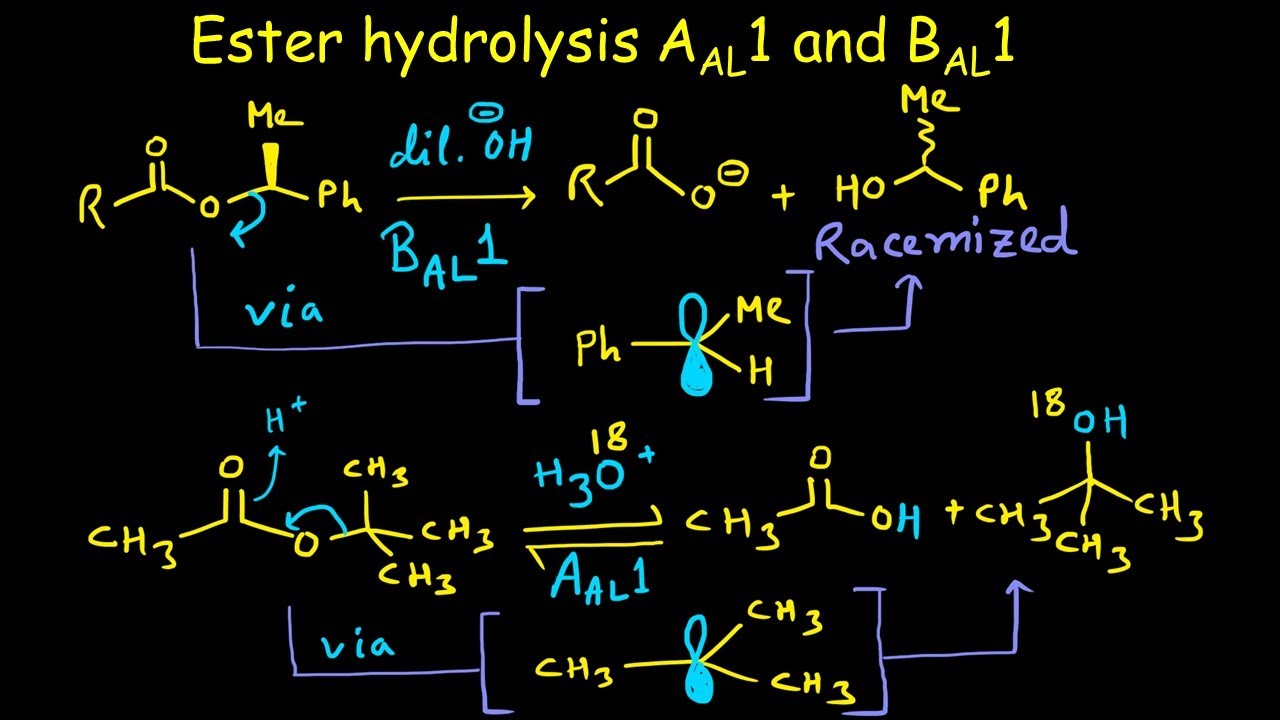 Ester Hydrolysis L-04 | Acid Catalyzed and Base promoted Ester ...
