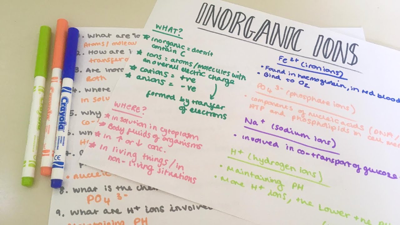 3.1.8 Inorganic Ions Revision | AQA A-Level Biology - YouTube