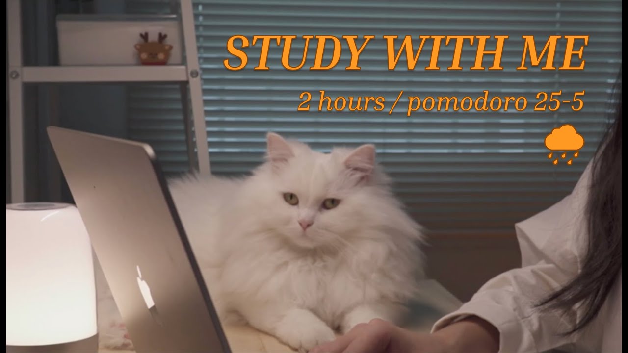2-Hour Study With Me | 25/5 Pomodoro | Rain & Cozy Cat Ambience - YouTube