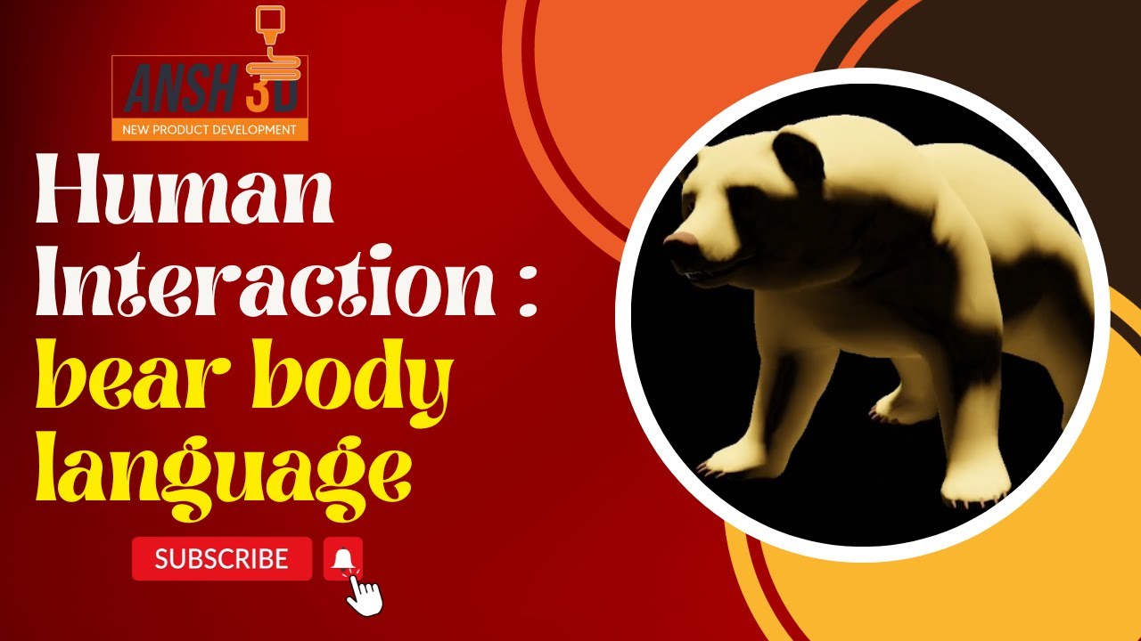 Human Interaction Bear body language | ansh 3d | #blender #animation # ...