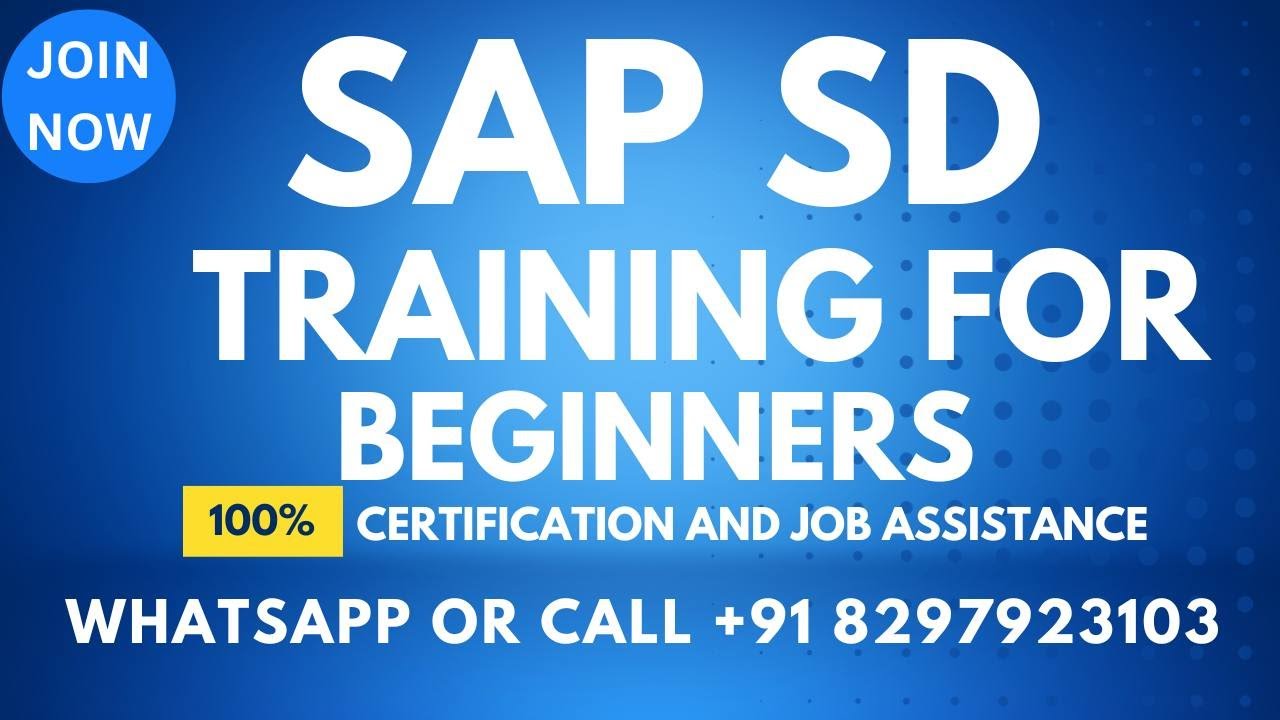 SAP SD Training Video 1 for beginners Call or What'sApp +91 8297923103 ...