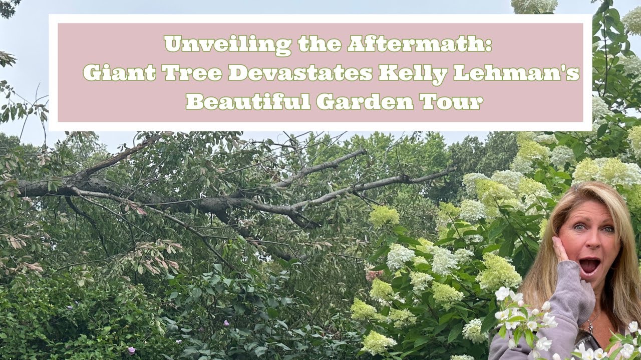 Unveiling the Aftermath: Giant Tree Devastates Kelly Lehman's Beautiful ...