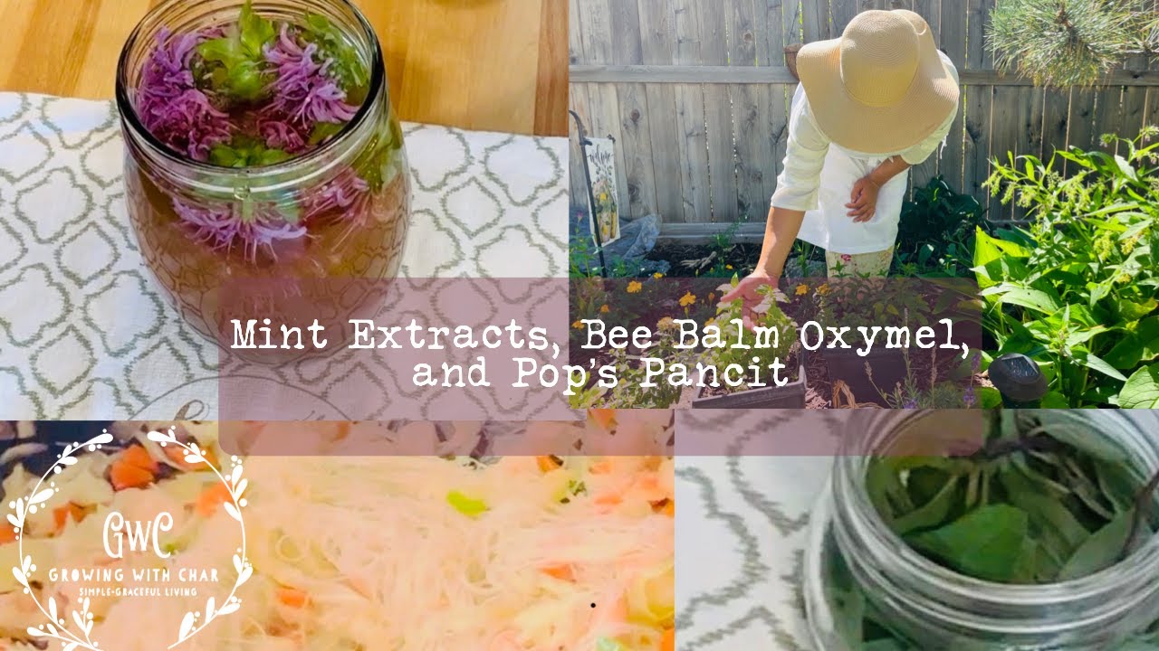 Mint Extracts, Bee Balm Oxymel, and Pancit - YouTube