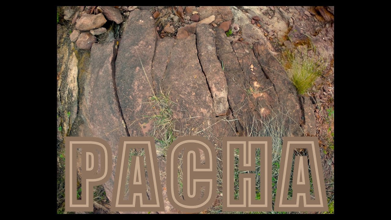 100y100--PACHA--Disco completo - YouTube