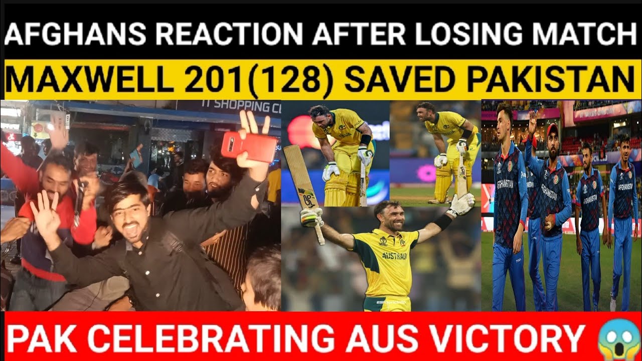 GLENN MAXWELL 201(128) vs AFG🔥| PAK CELEBRATION AFTER AUS WINNING ...
