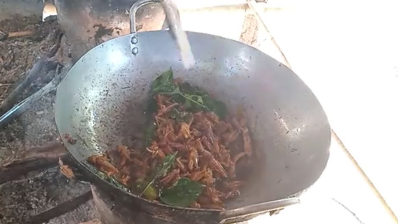 Roasted locusts, nature, countryside/ លីងកណ្តូបហូបឆ្ងាញ់ - YouTube