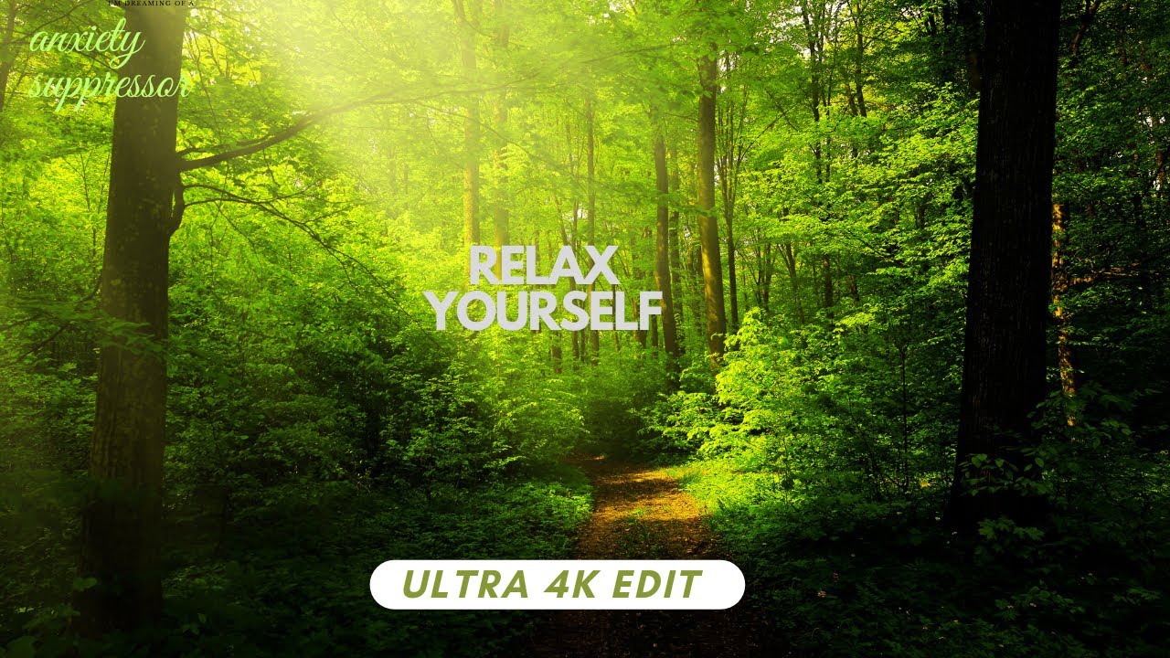 Relax yourself for just 4 minutes/ultra HD 4k nature videos/piano ...