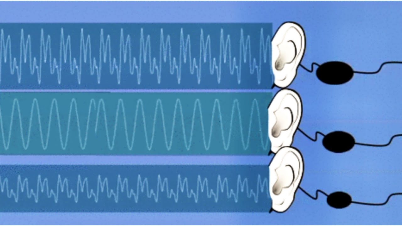 Loudness Perception through Animation. Longitudinal sound waves ...