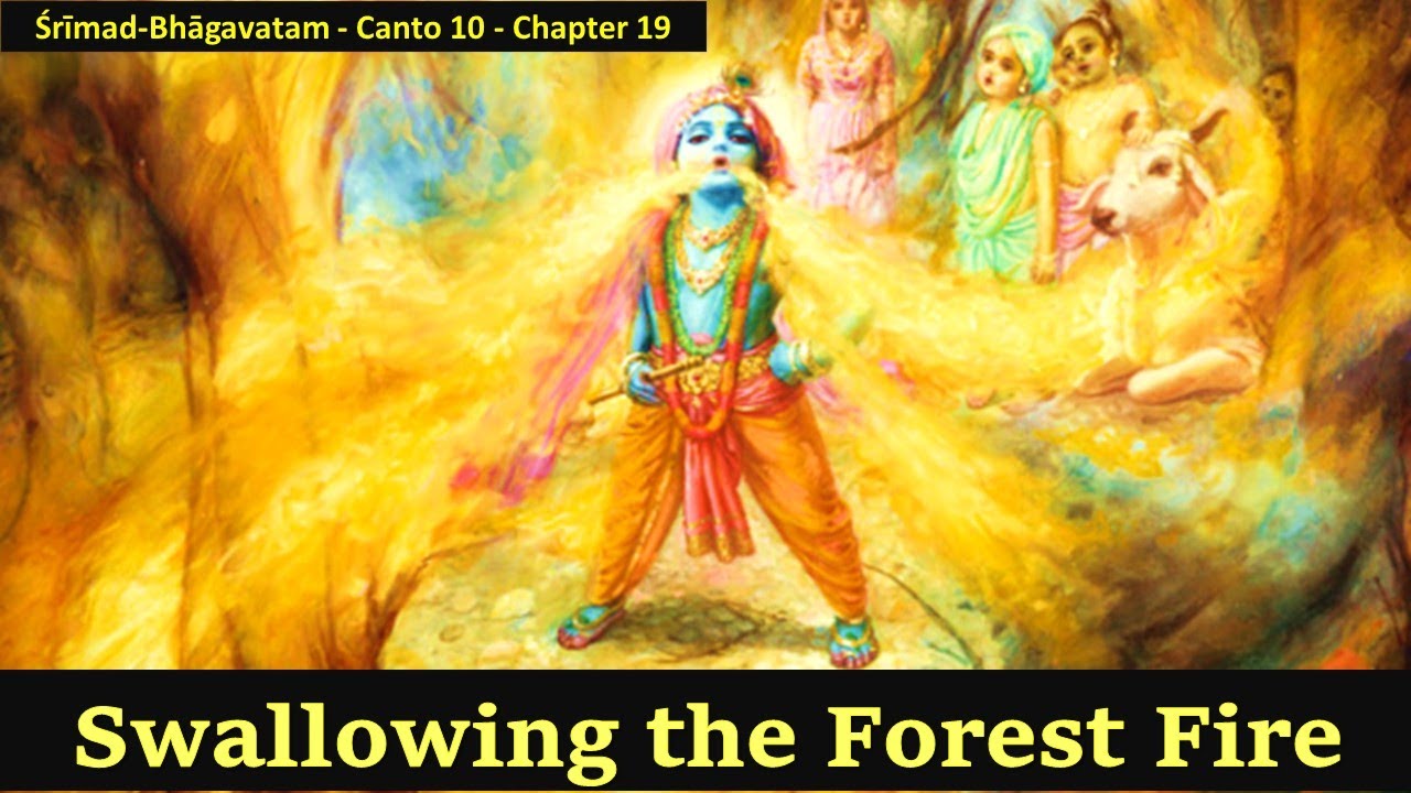 SB 10.19 Swallowing the Forest Fire | Srimad Bhagavatam | Canto 10 ...