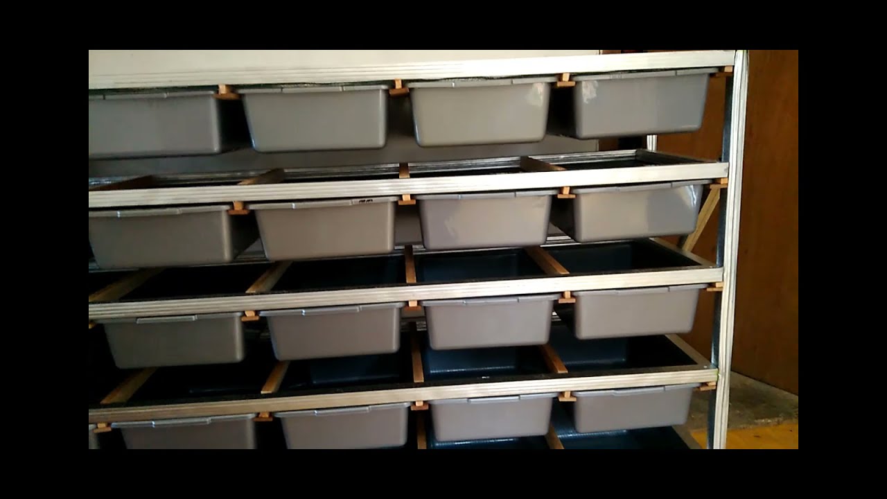 Kandang Mencit (Tikus Putih) Dari Bahan Holo - YouTube