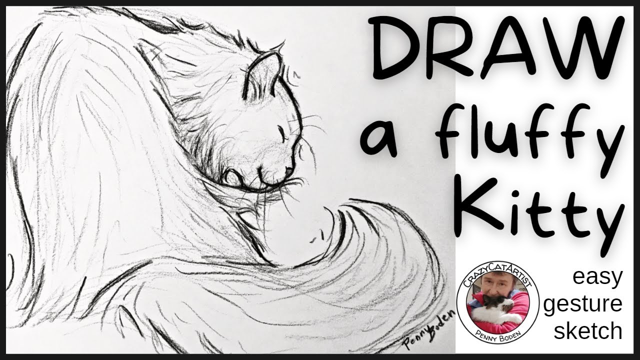 How to Draw a Fluffy Long Haired Cat, Maine Coon, Angora, simple sketch ...