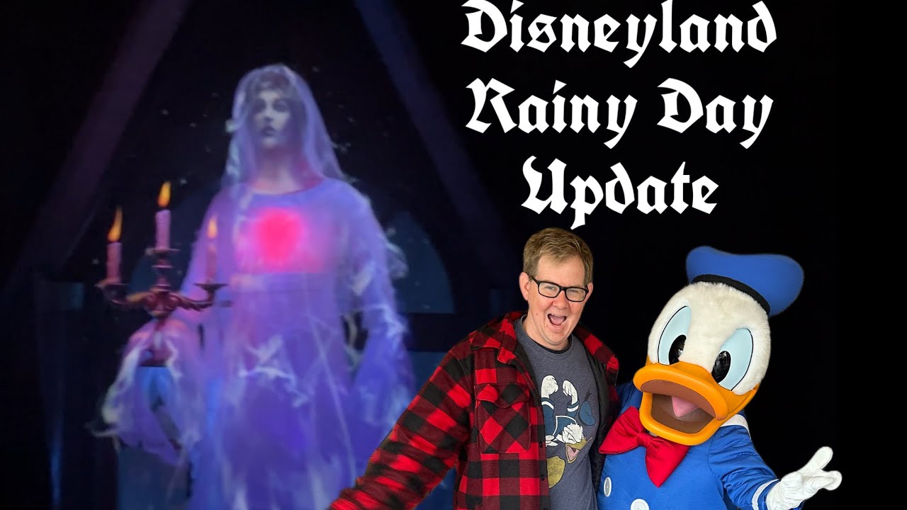 Disneyland February Rainy Day Update:Donald Duck, Haunted Mansion, Star ...