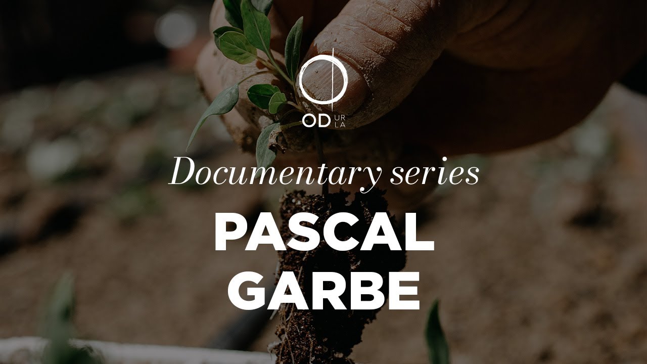 OD | Documentary Series // Pascal Garbe - YouTube