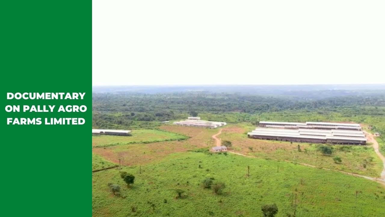 PALLY AGRO FARMS LIMITED - YouTube