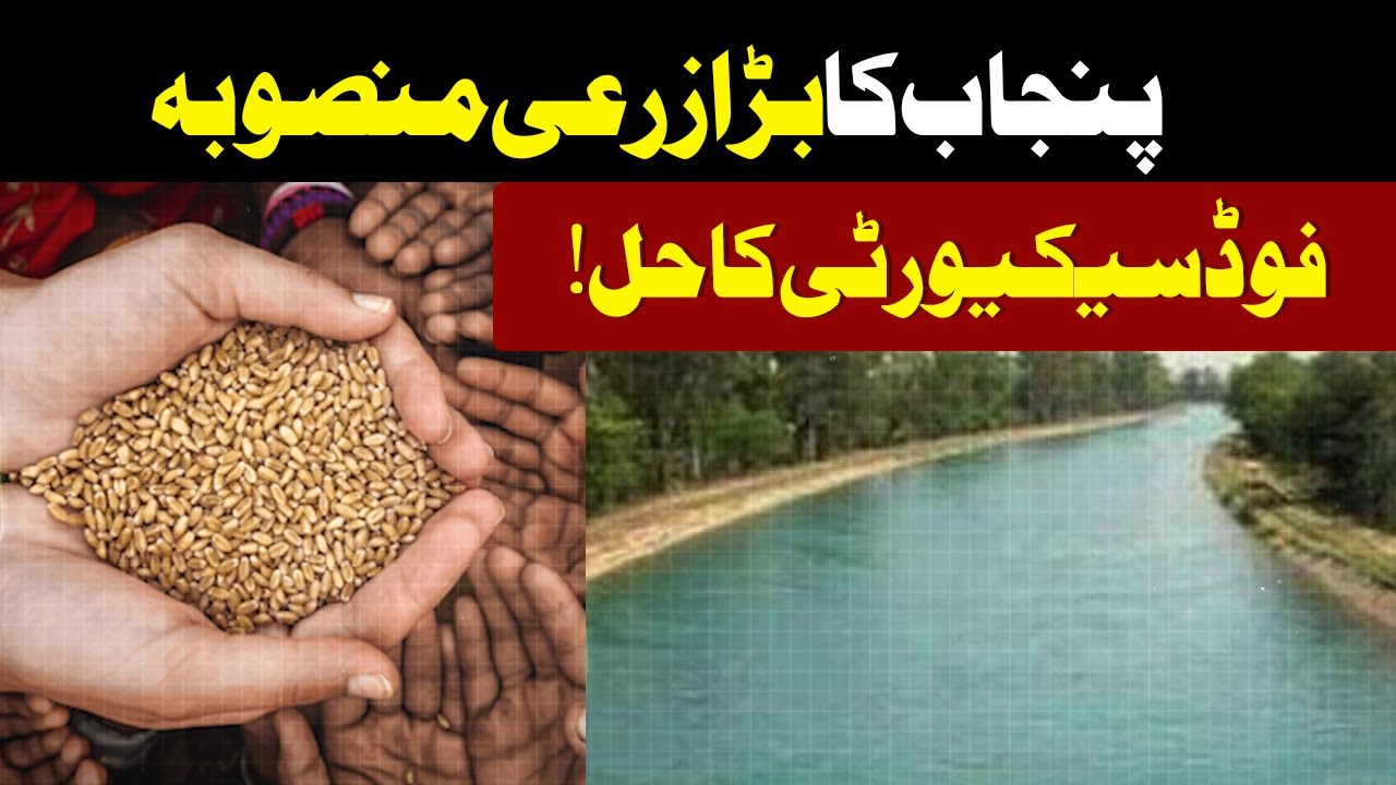 Mahfooz Shaheed Canal – A Game Changer for Pakistan’s Agriculture ...