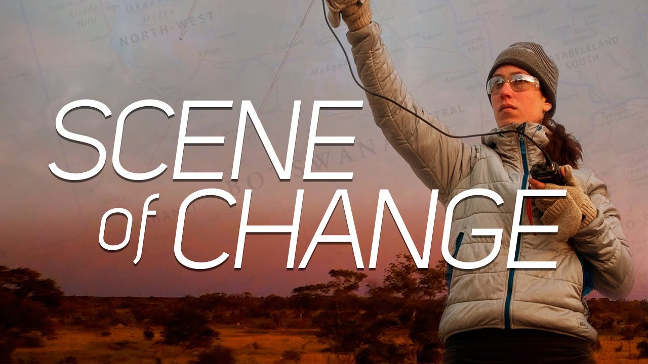 Scene of Change - YouTube