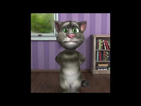 Ginger annoying Tom