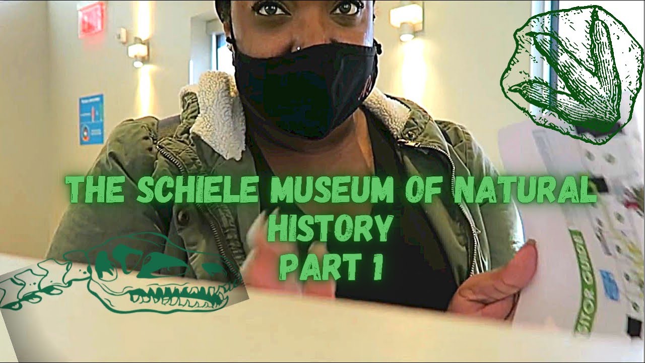 The Schiele Museum of Natural History Part 1 - YouTube