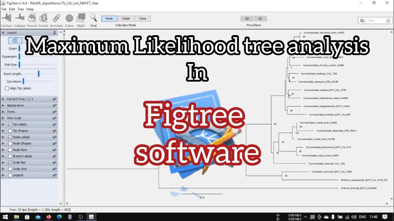 #7 - Maximum Likelihood Analysis using RAxML - #Figtree software - Part 3 - YouTube