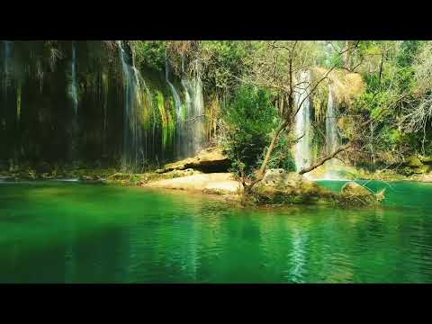 4 July 2023 YouTube short video 🎶✨ natural beauty#viral #trending #youtube #beautiful flower 🌼