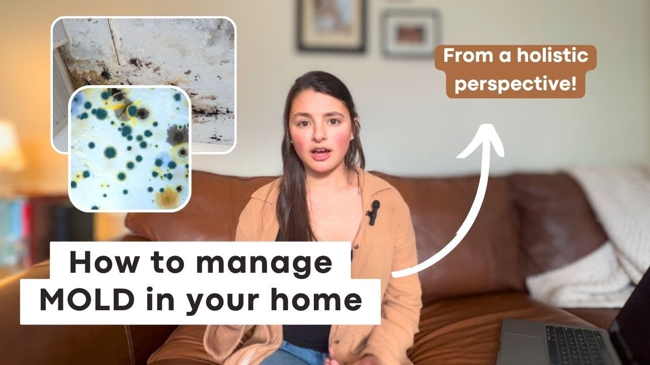 How to Manage Mold in Your Home & Detox From MOLD TOXICITY - YouTube