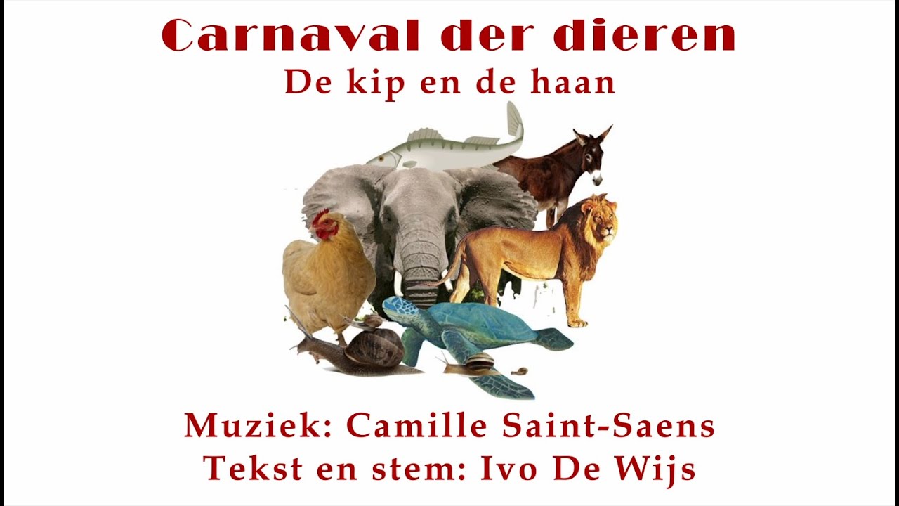 Carnaval der dieren - De kip en de haan - YouTube