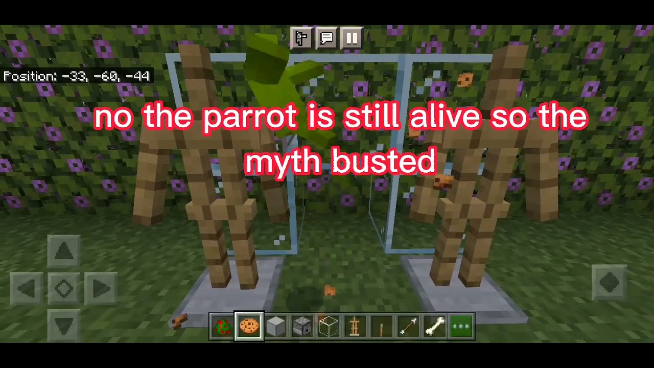 Busting minecraft myths in one minute |myth busting #2| - YouTube