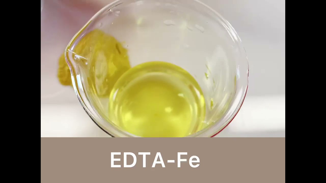 EDTA-Fe (Product details and water solubility test) - YouTube