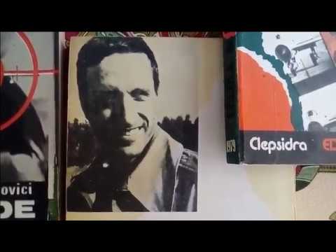 Doru Davidovici - 30 de ani de la ultimul zbor - YouTube