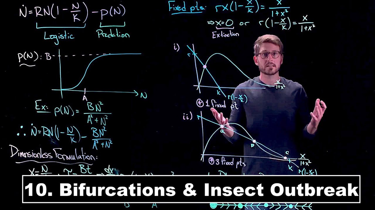 Bifurcations in a Model for Insect Outbreak - Dynamical Systems ...