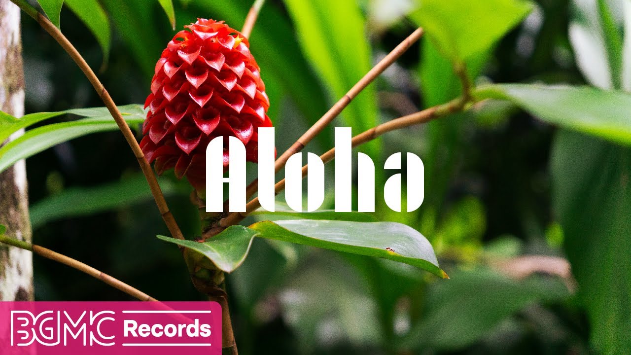 Hawaiian Music: The Perfect Aloha Vibe for Your Work & Study | BGMC ...