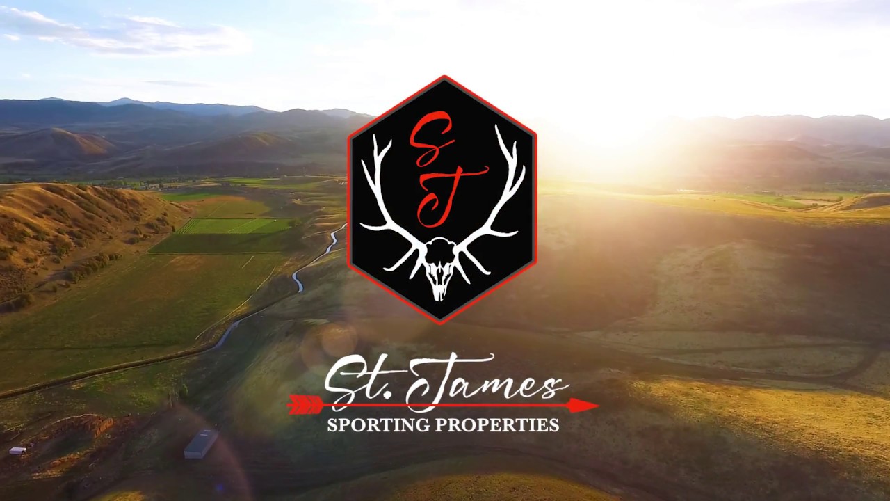 SJSP Company Video - YouTube