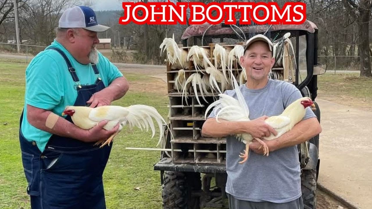 John Bottoms Farm Outdoor Indoor Breeding Pens Feeding Time - Big Farm ...