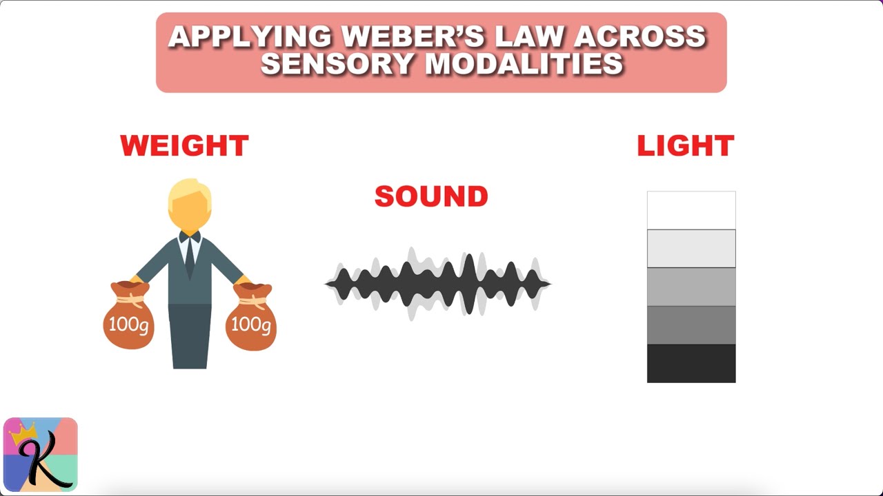 Exploring Weber’s Law – Understanding the Just-Noticeable Difference ...