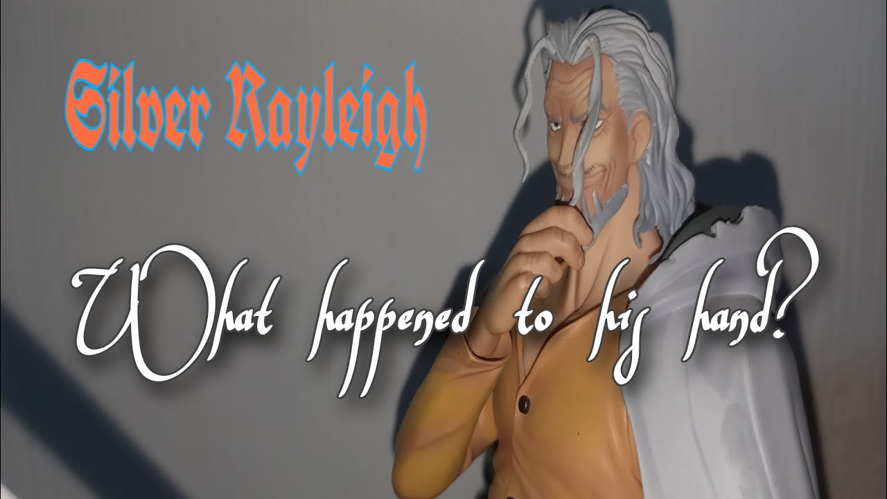 SILVER RAYLEIGH Portrait Of Pirates Deluxe (POP DX) One Piece - Seller ...