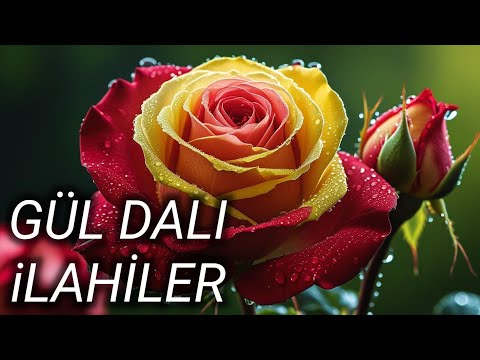 GÜL DALI İLAHİLER OZAN BİRGÜL
