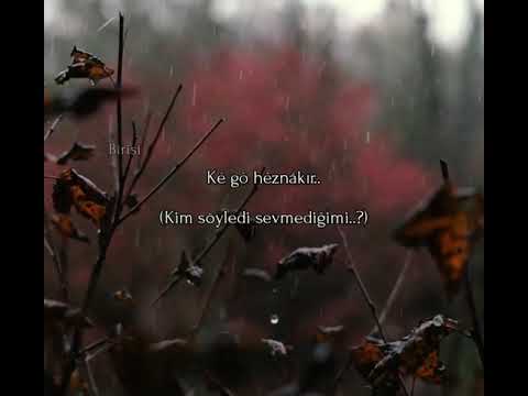 Kê gô ji bîrkîr, Kê gô hêznâkır(kim söyledi unutuğumu,kim söyledi sevmediğimi?)#kurtce#turkcealtyazi