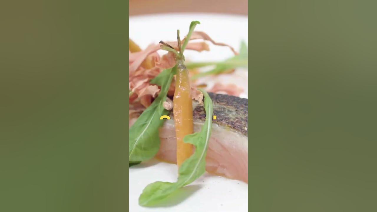 🎥 Master Sous-Vide with Fusionchef by Julabo! 🌡 - YouTube