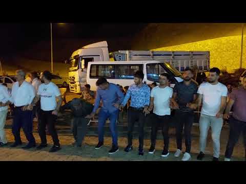 Pervari narsuyu köyü gulecler