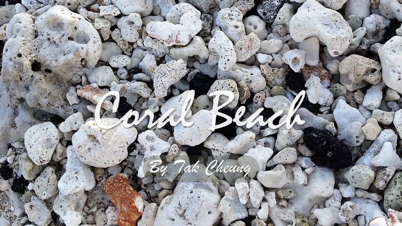 CORAL BEACH. Poem with narratives and text - YouTube