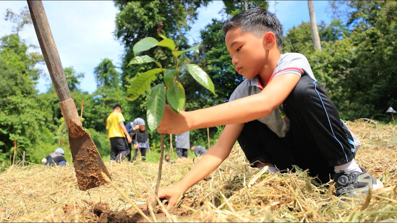 Where Hope Takes Root - YouTube