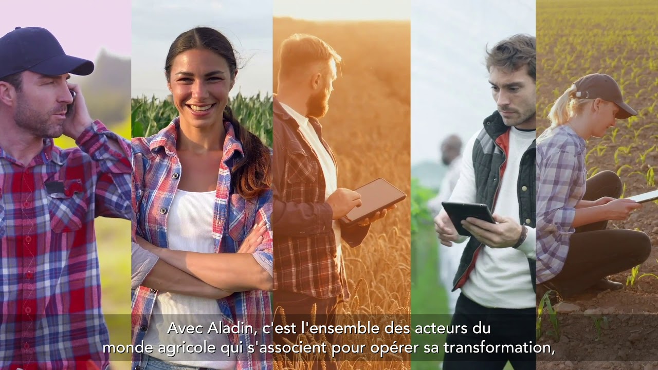 Vidéo de révélation de la plateforme Aladin.farm - YouTube