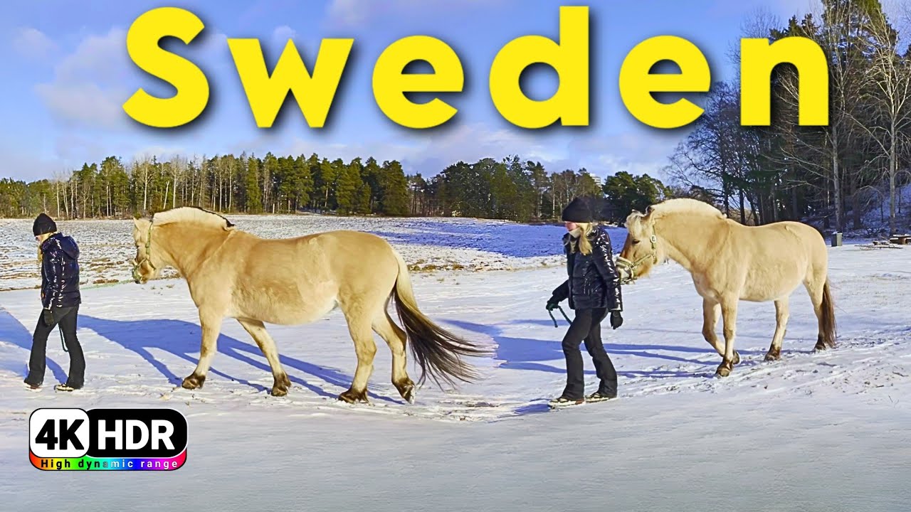 Hidden Snow Paradise I Found Near My House? Stockholm 4k HDR - YouTube